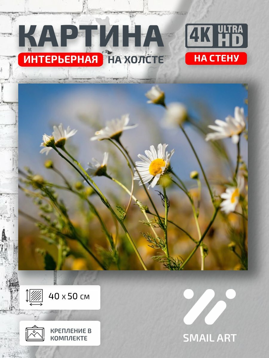 Картина на холсте интерьерная 40 на 50 на стену Поле Landscape для гостиной пейзаж интерьер