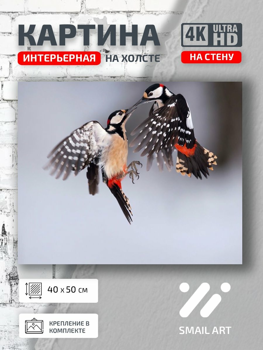 Картина на холсте интерьерная 40 на 50 на стену Птицы Landscape для спальни пейзаж интерьер
