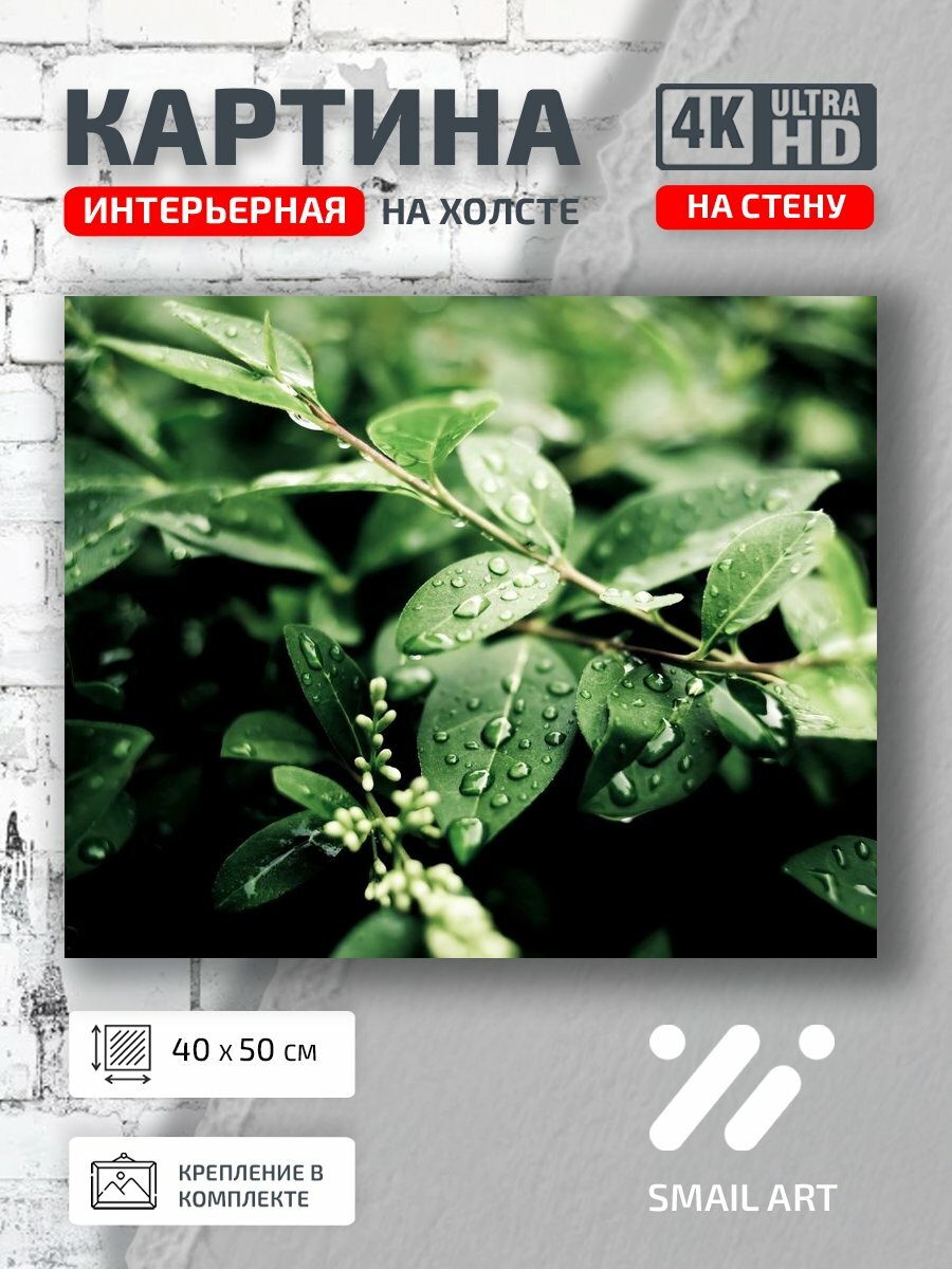 Картина на холсте интерьерная 40 на 50 на стену Капли Landscape для кабинета пейзаж декор