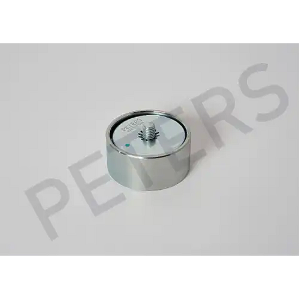 PETERS 020.131-00A (02013100A_PE8) ролик натяжителя ремня 65x32\ iveco eurocargo