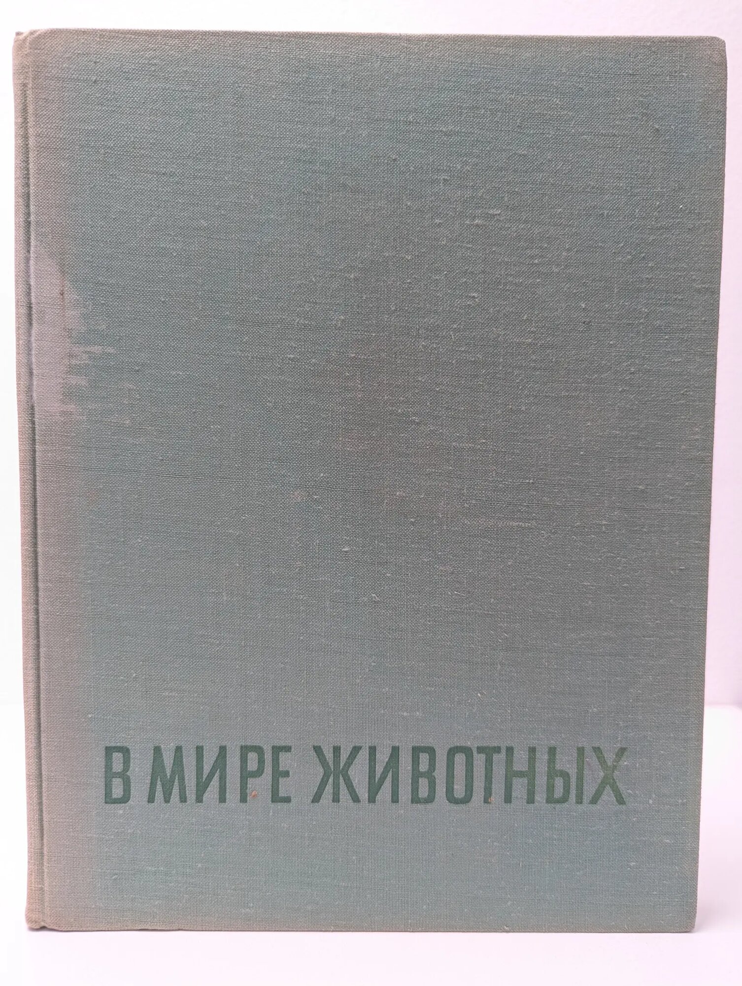 В мире животных Пухальский Влодзимеж 1967