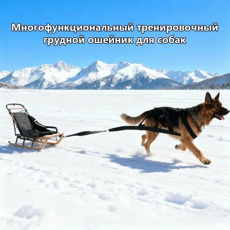 Тяжелая лента для больших и средних собак, тренировочная тяговая лента типа Y