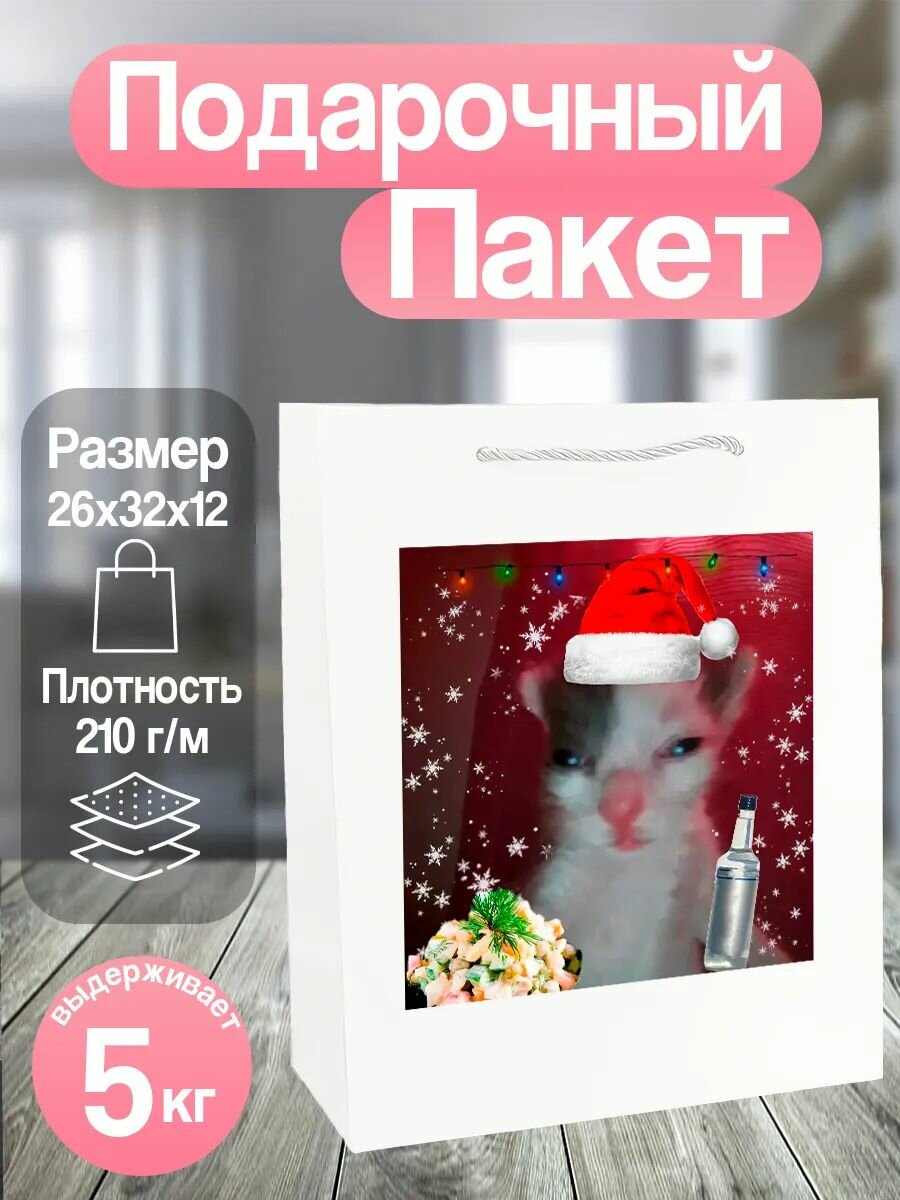 Пакет новогодний подарочный мем котики