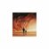 Диск Lambert: Sweet Apocalypse (1 CD)