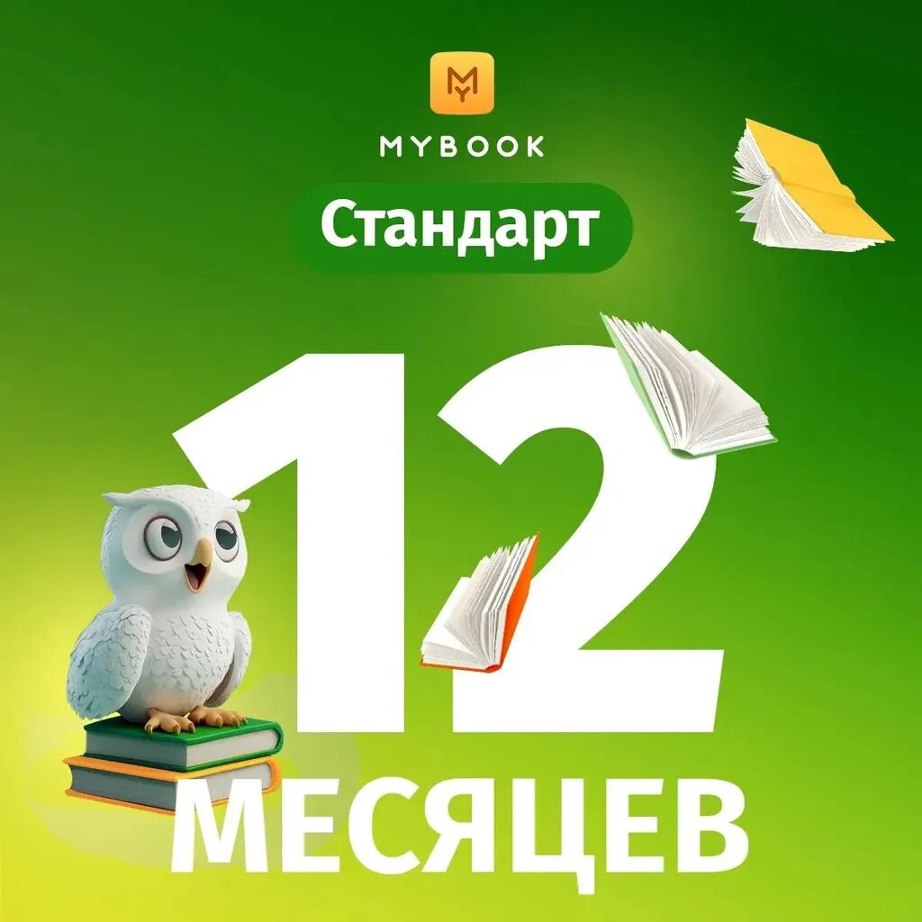 Подписка Mybook, стандартная, на 12 месяцев (цифровой код/электронный ключ)
