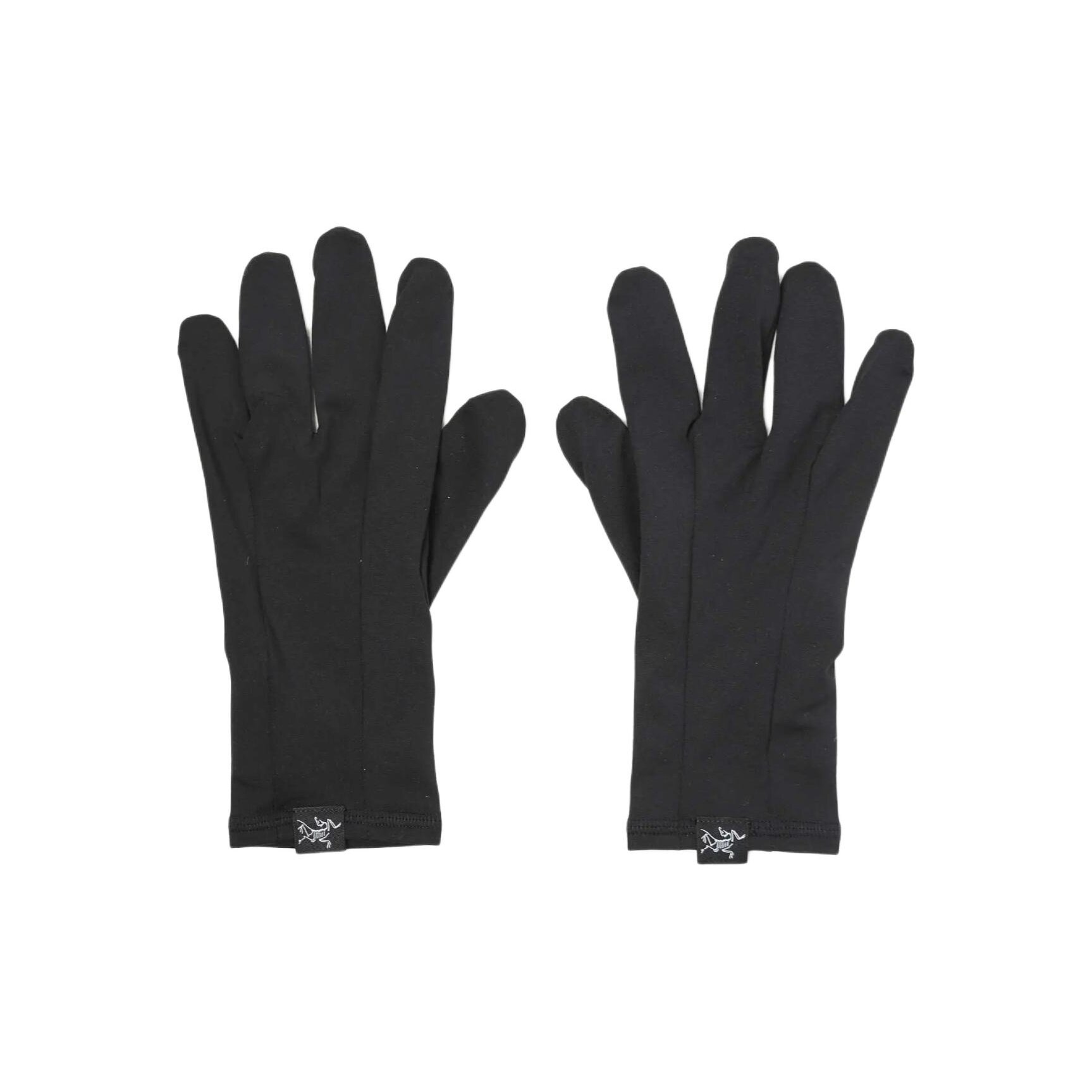 Перчатки Arc'teryx для мужчин