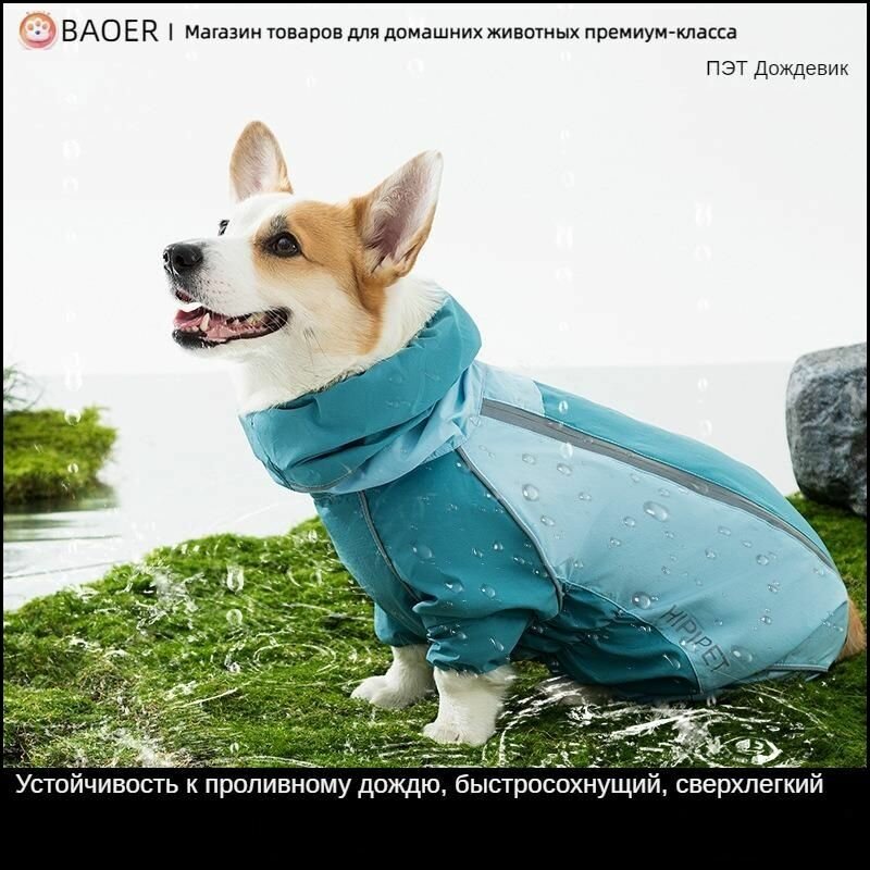 Эксклюзивная зооамуниция