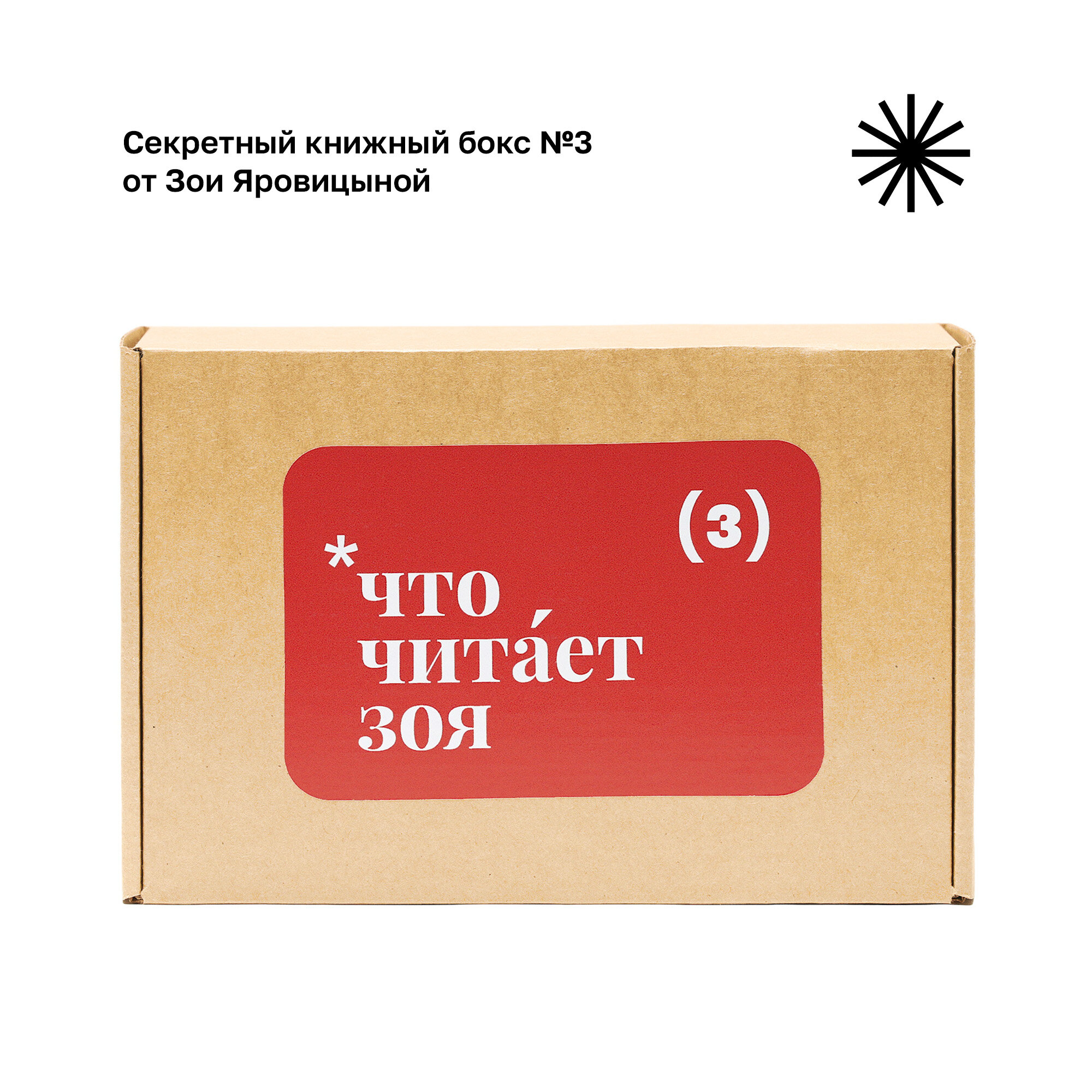 Книжный бокс Зои Яровицыной «Что читает Зоя» | Бокс 3, декабрь 2025