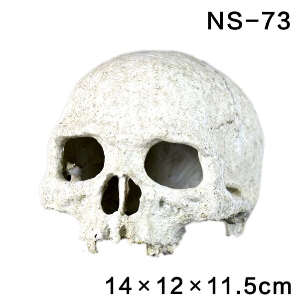 Кокосовая пещера для рептилий, мест для укрытия и игр для пауков, скорпионов и рептилий, каменная пещера для черепах,