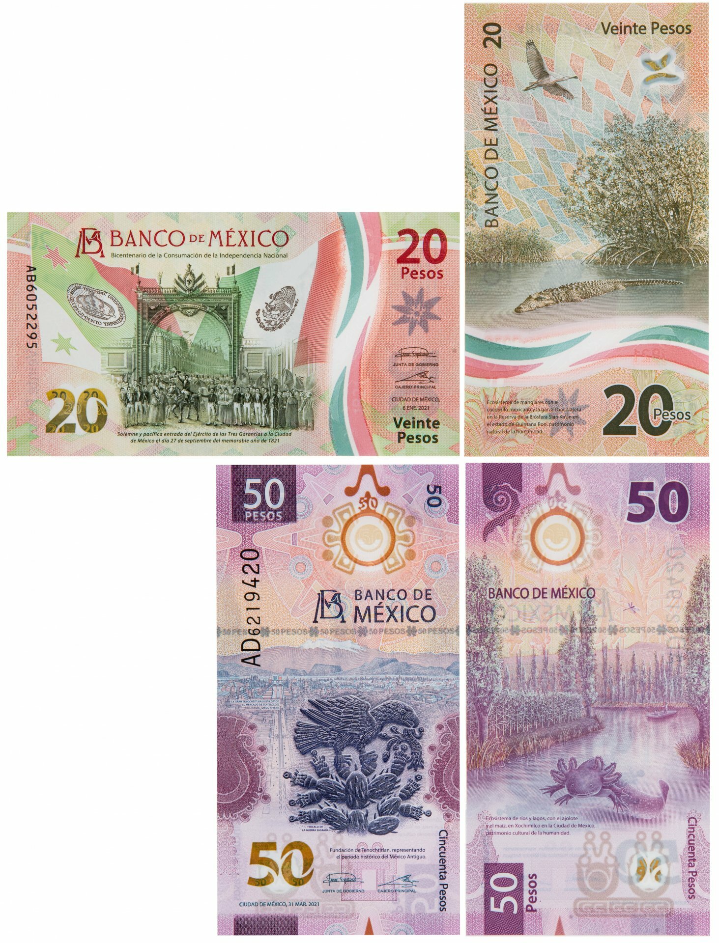 Мексика набор 20 + 50 песо 2021 - 2022 года New Pick полимер