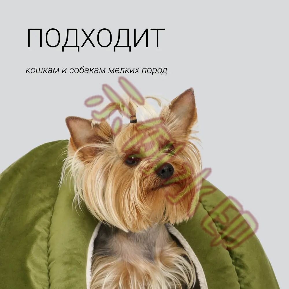 Домик для животных — фото 1