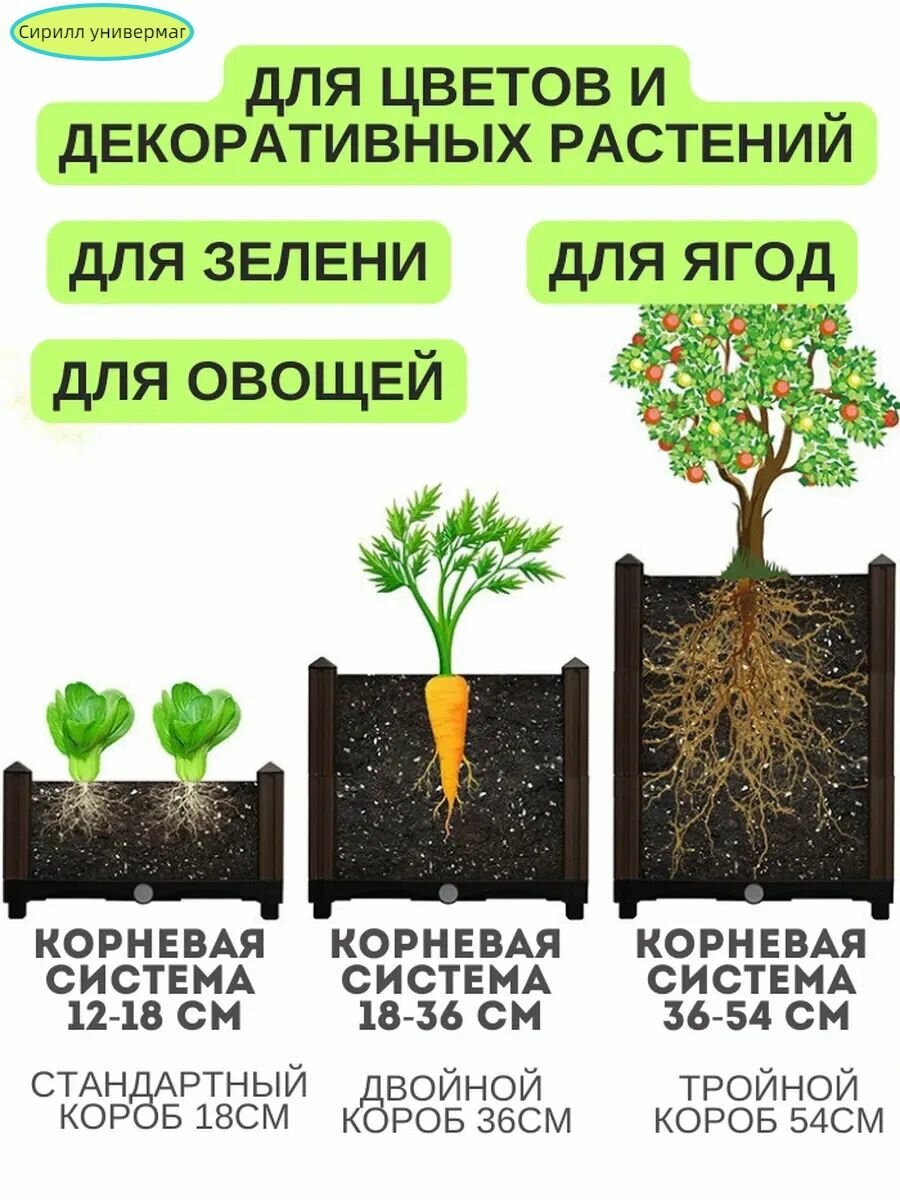 Грядка — фото 1