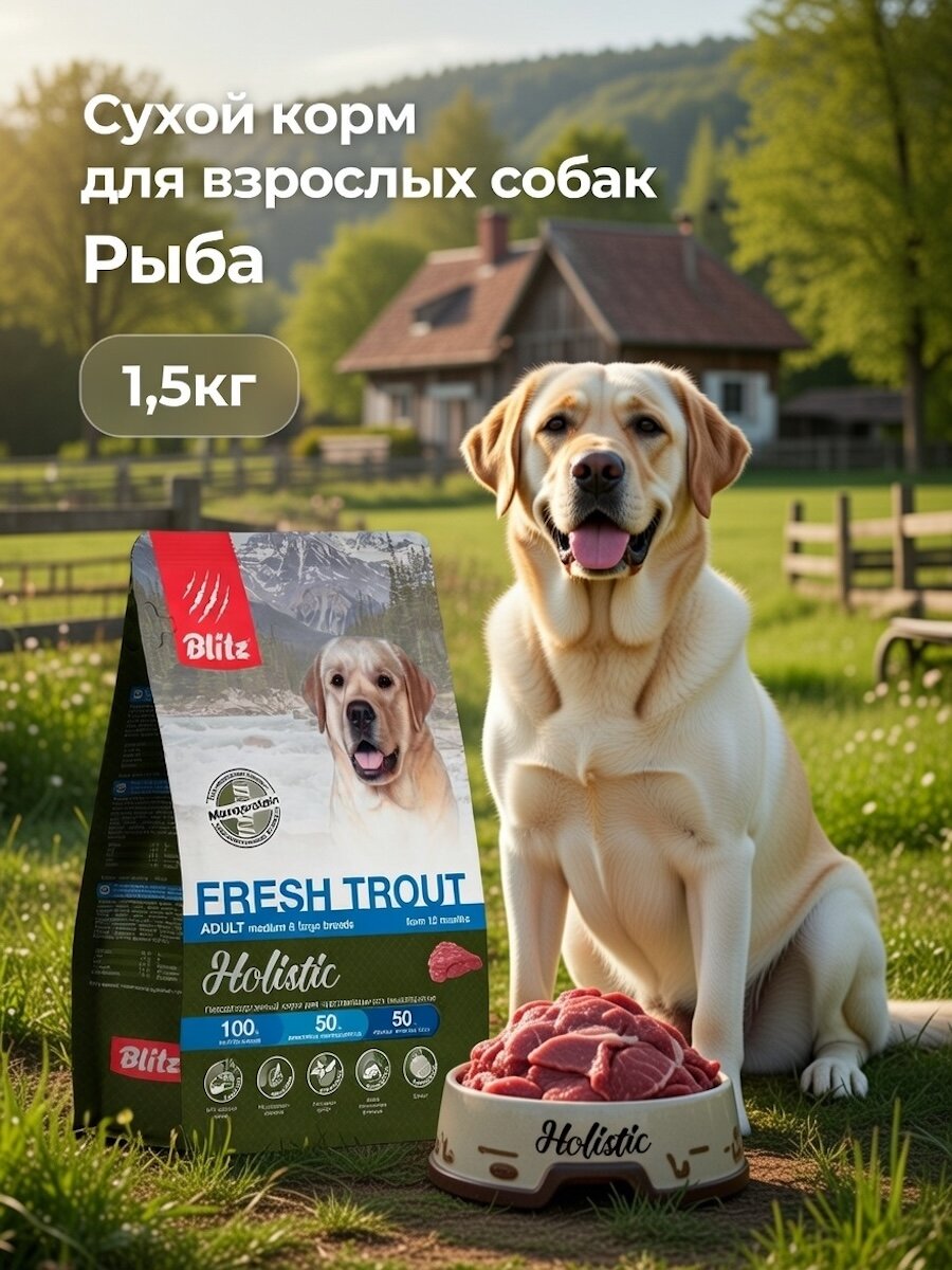 Сухой корм со свежей форелью Blitz Holistic Fresh Trout для взрослых собак средних и крупных пород 1,5 кг