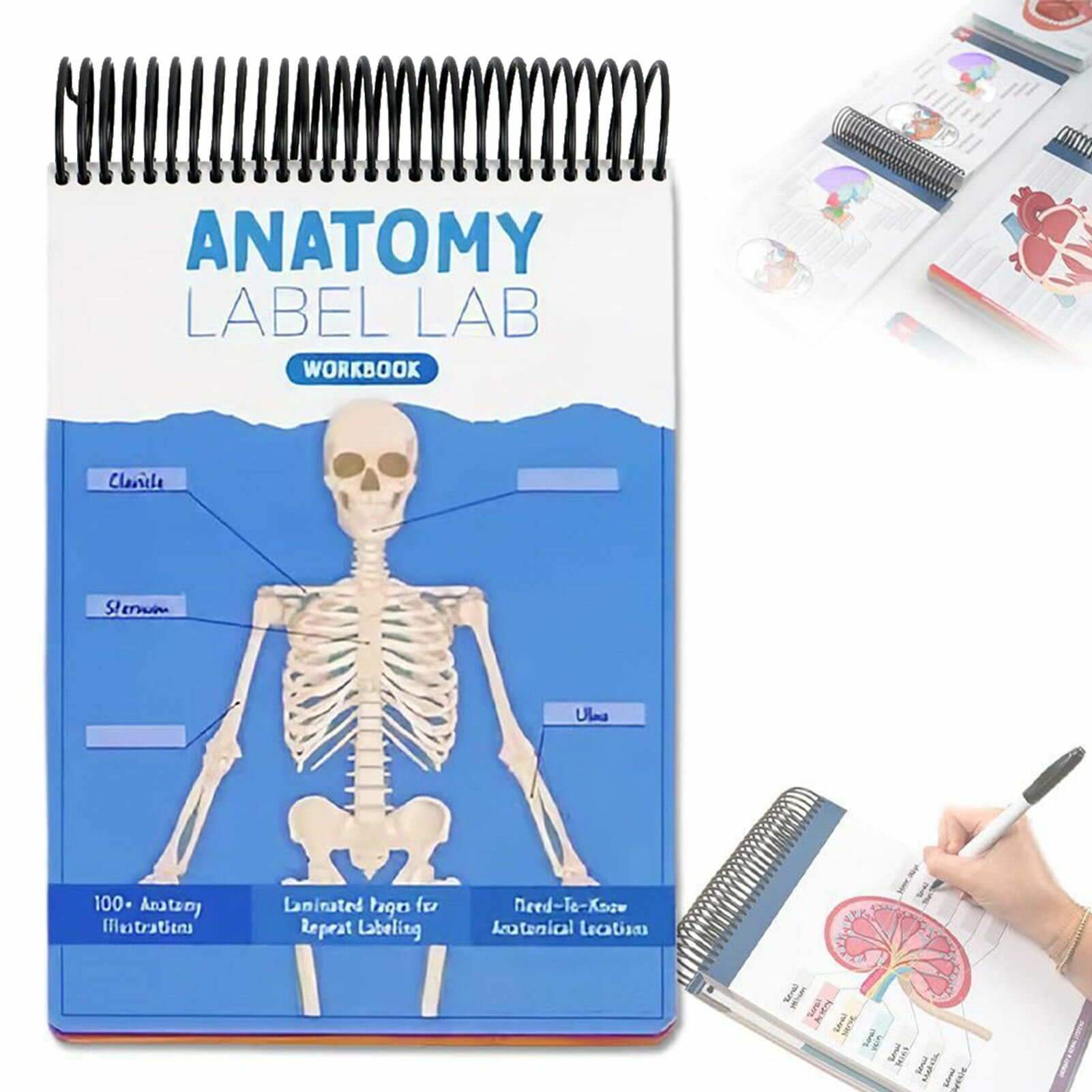 Трудовая книжка