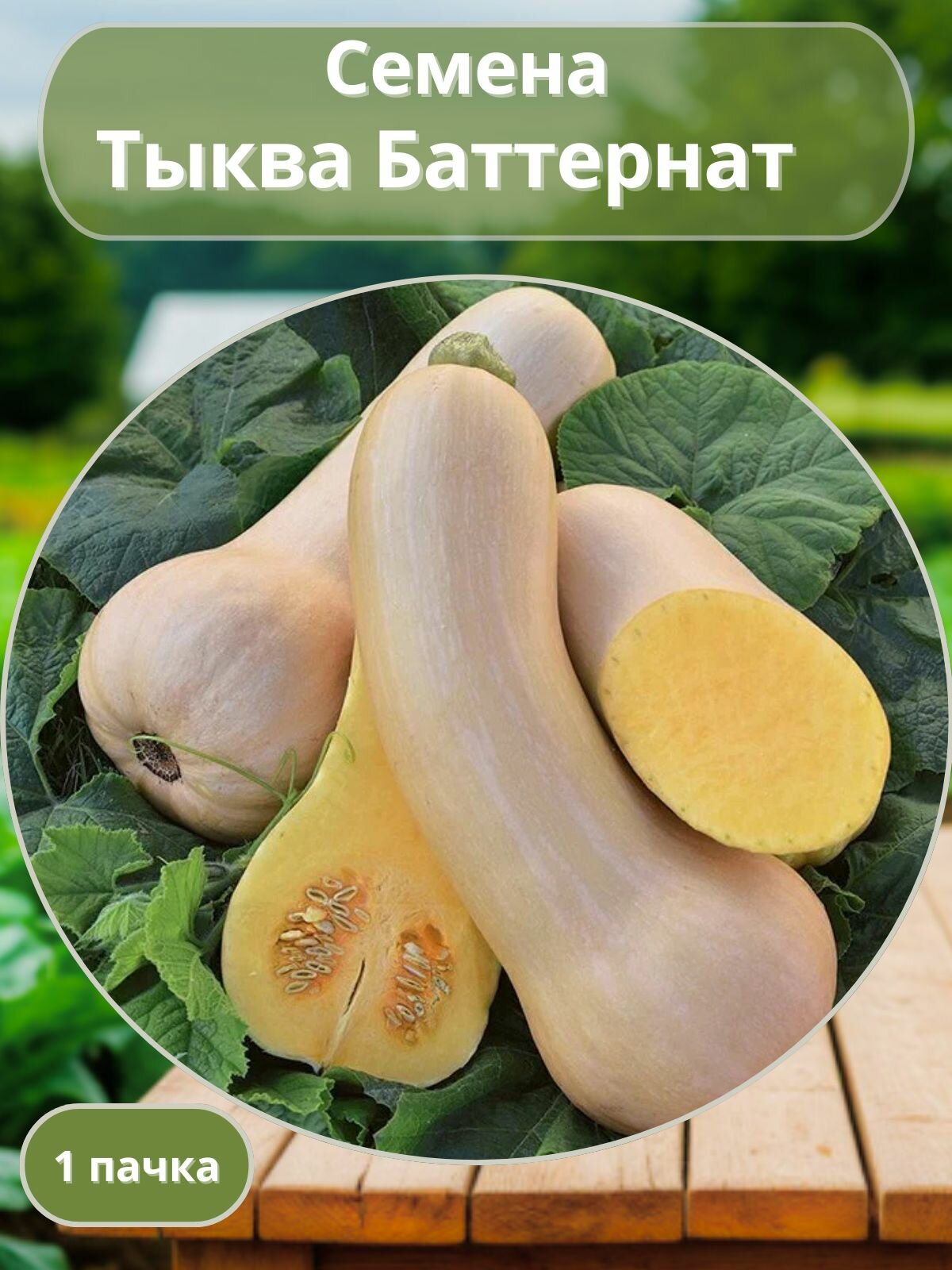 Тыква мускатная Баттернат, семена 10 шт