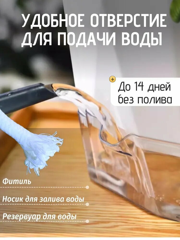 Кашпо 1 л, 3 шт, цвет прозрачный