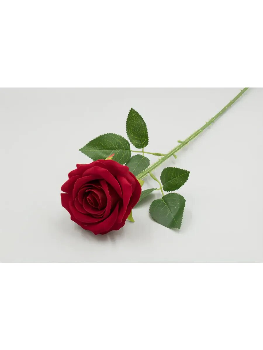 Одиночная роза "Латифа", бархат, красная, в горшке, реалистичная