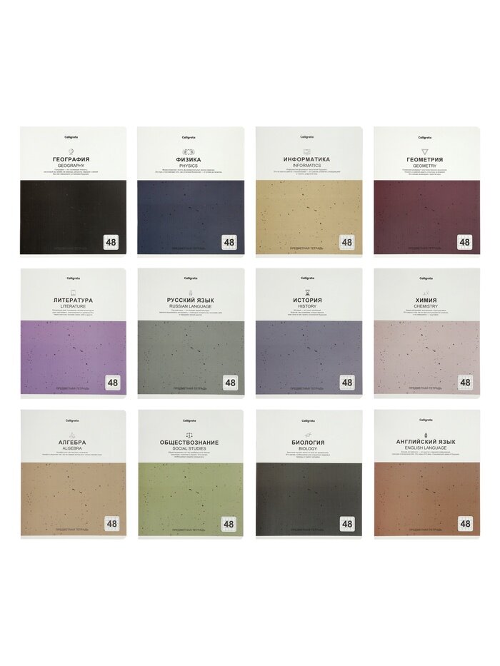 Комплект 12 предметных тетрадей 48 листов, справочная информация, 60 г, мраморные, пастельные