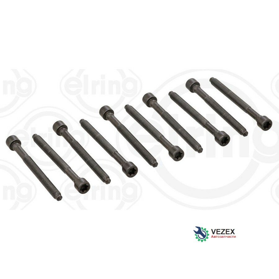 ELRING 325930 к-кт болтов ГБЦ! 10шт.\ VW Golf/Passat, Audi A4/A6 2.0TFSi 04>