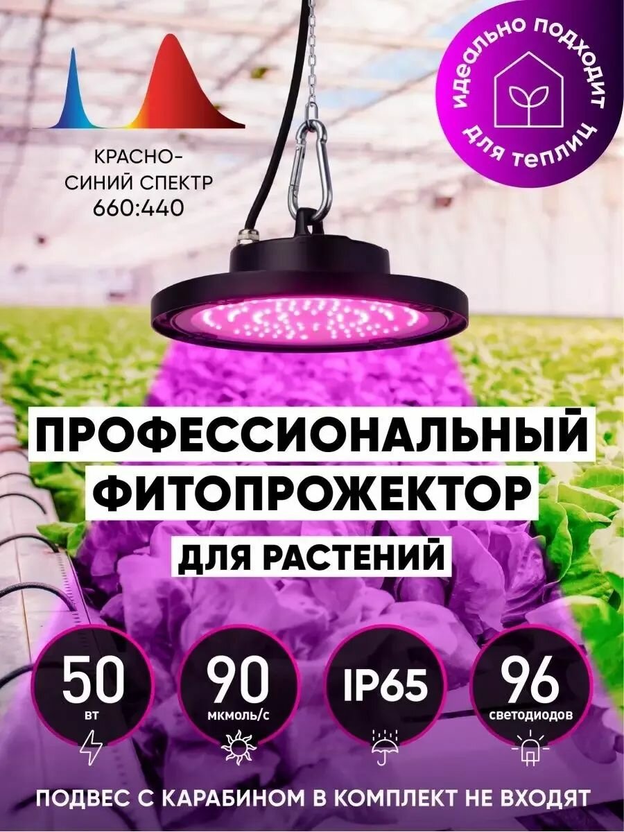 Фитолампа для растений красно-синий спектр ЭРА FITO-50W-RB-LED-UFO / мощный фито прожектор светодиодный для цветения и плодоношения домашнее солнце светильник 50Вт