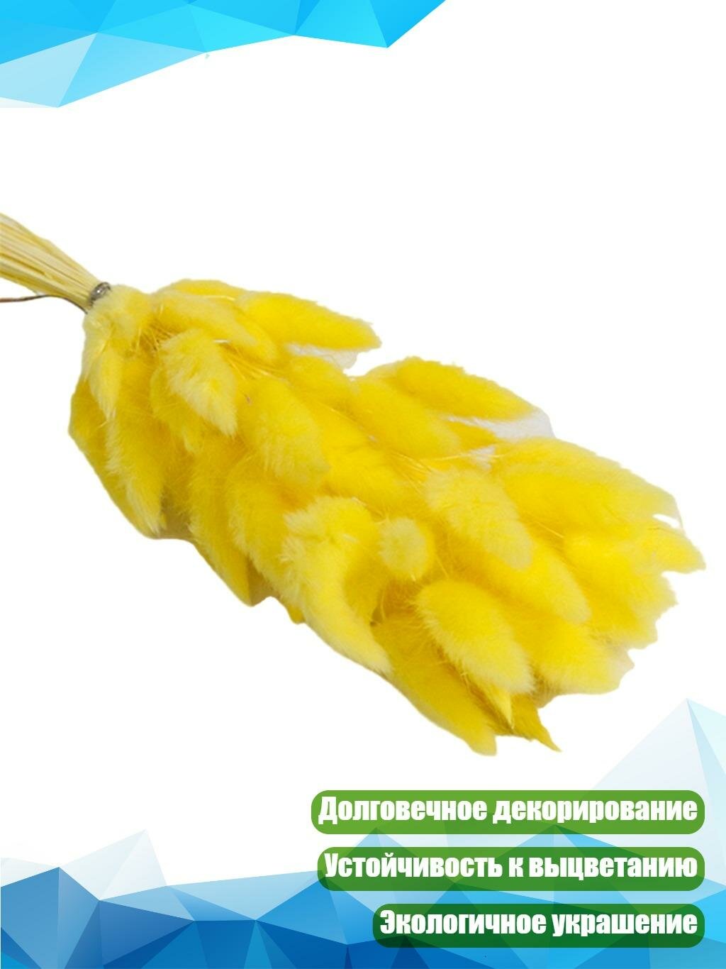 Сушеные хвосты кролика — 55 шт, Сплошной цвет 20