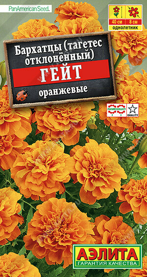 Семена цветов аэлита "Бархатцы гейт", однолетние, отклоненные, оранжевые