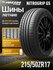 Летние шины NitroGrip G5 215 50 R17 95W Triangle для легковых автомобилей