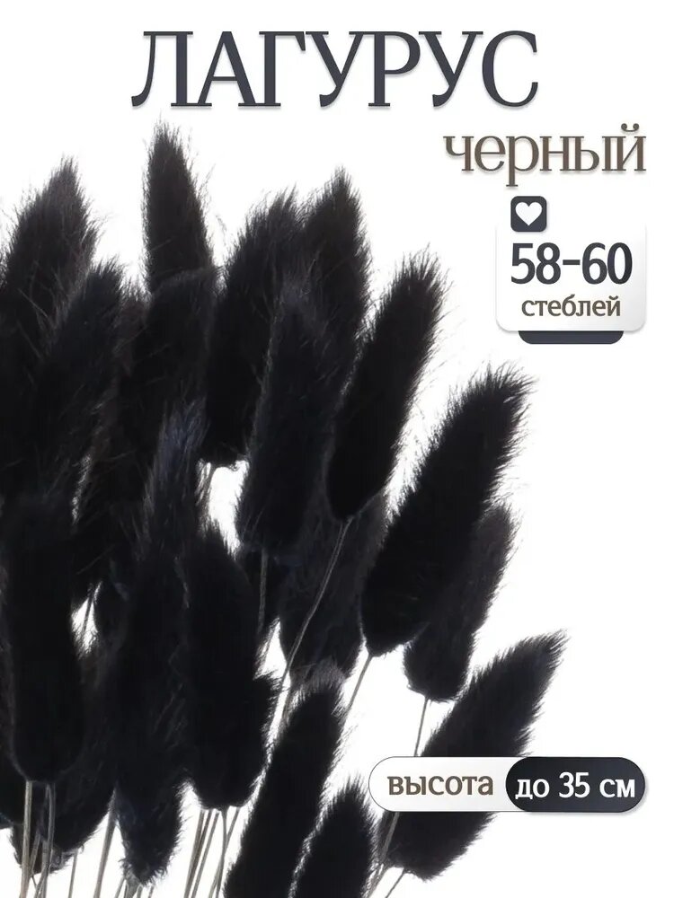 Стабилизированные цветы Камнеломка, 35 см, 100 гр, 60 шт