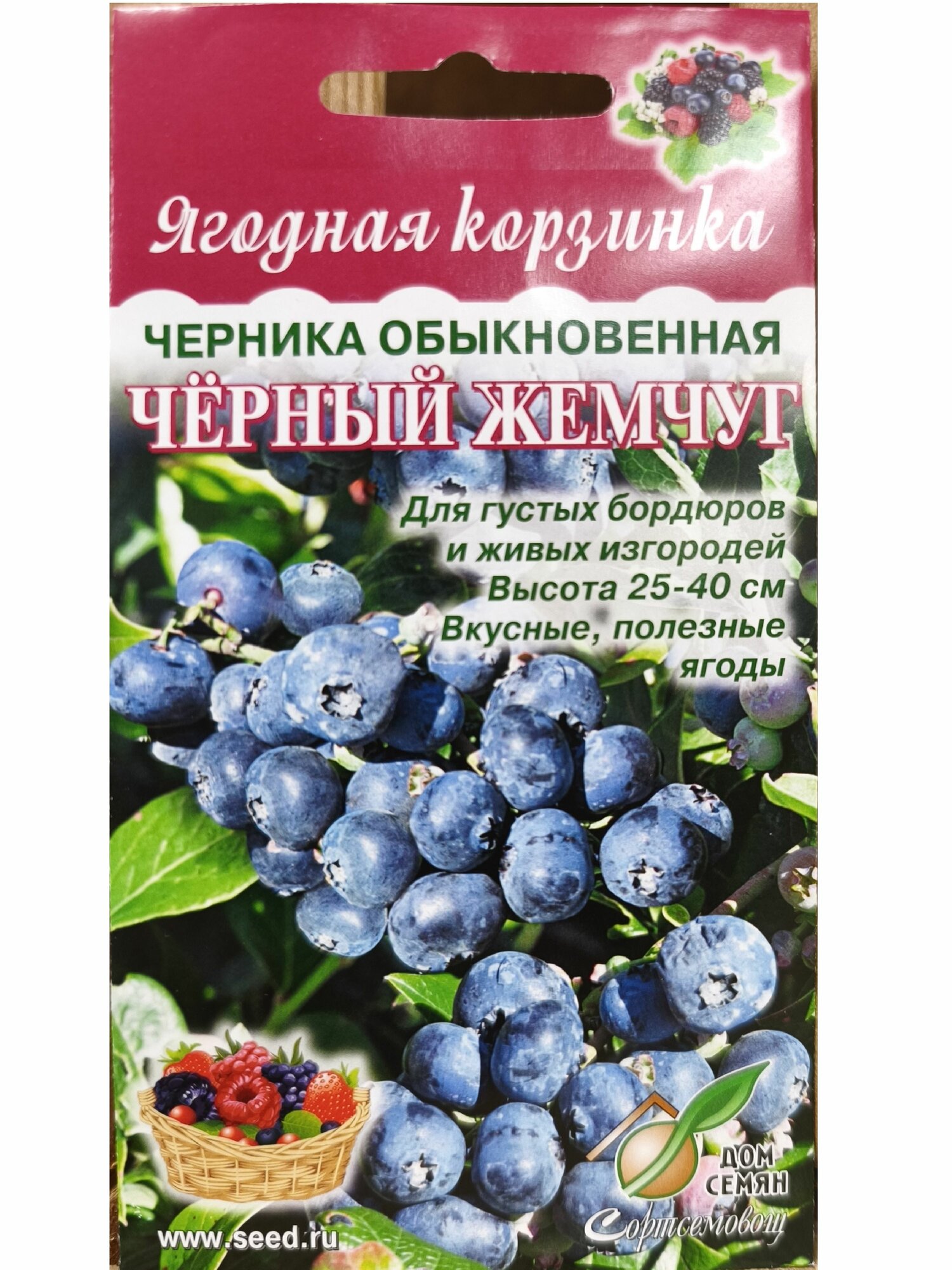 Черника обыкновенная Черный Жемчуг формирует густой бордюр со вкусными и полезными ягодами, 30 семян