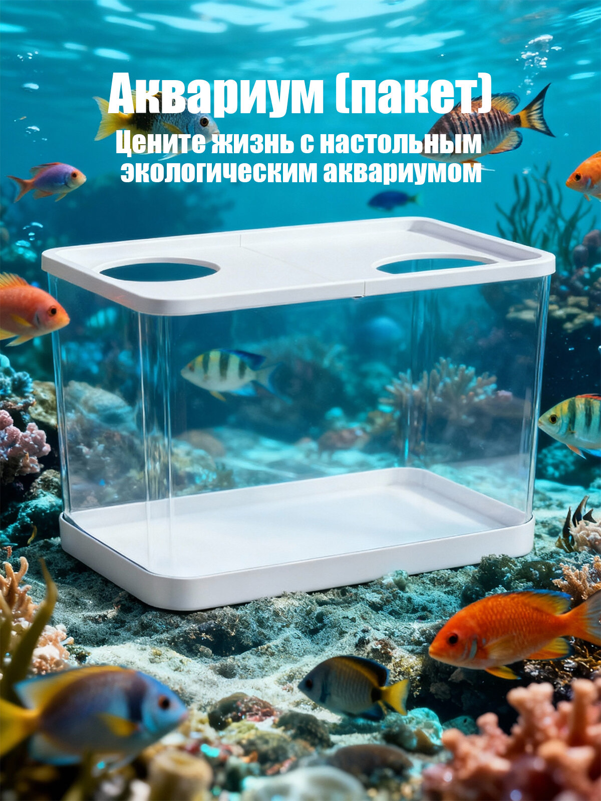 DRAYMAT Универсальный акватеррариум: PET 93% прозрачности, улучшенная крышка, голый, для рыб/черепах, для новичков.
