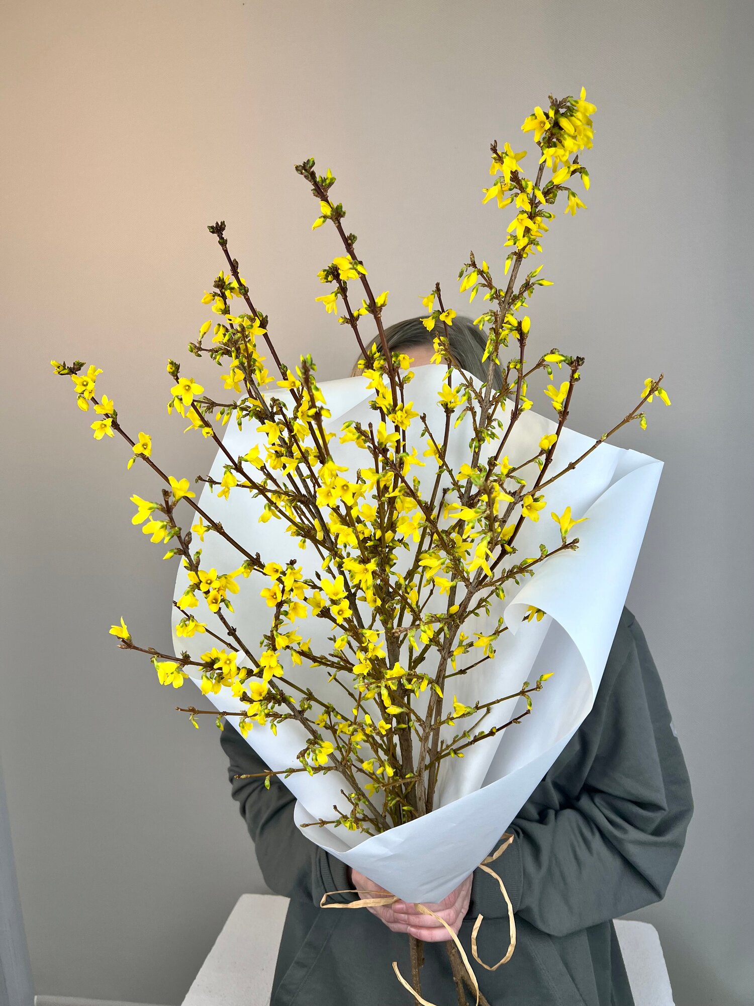 Весенние цветущие веточки форзиции