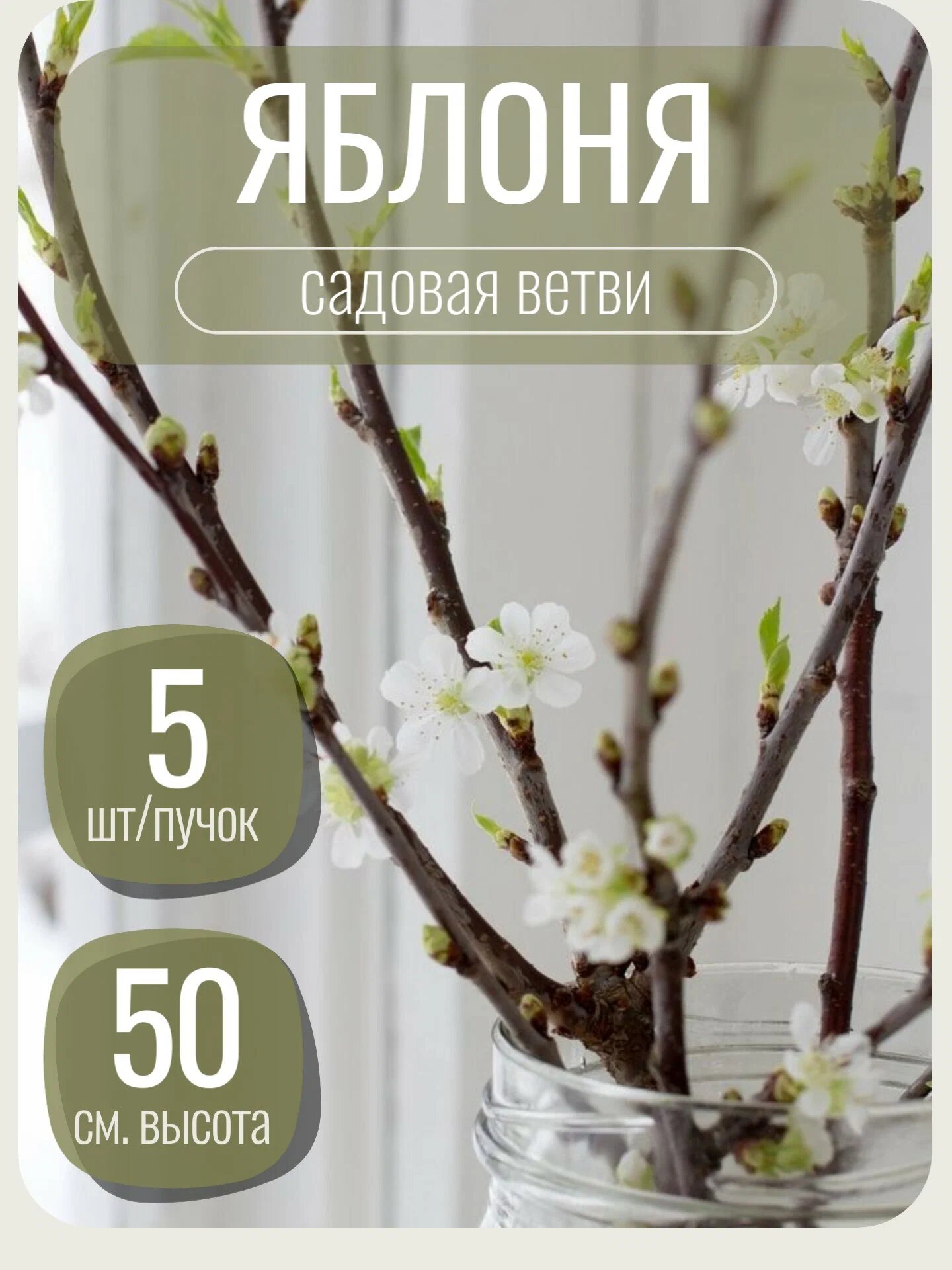 Живые ветки яблони для флористики и декора. Весна на твоем окне