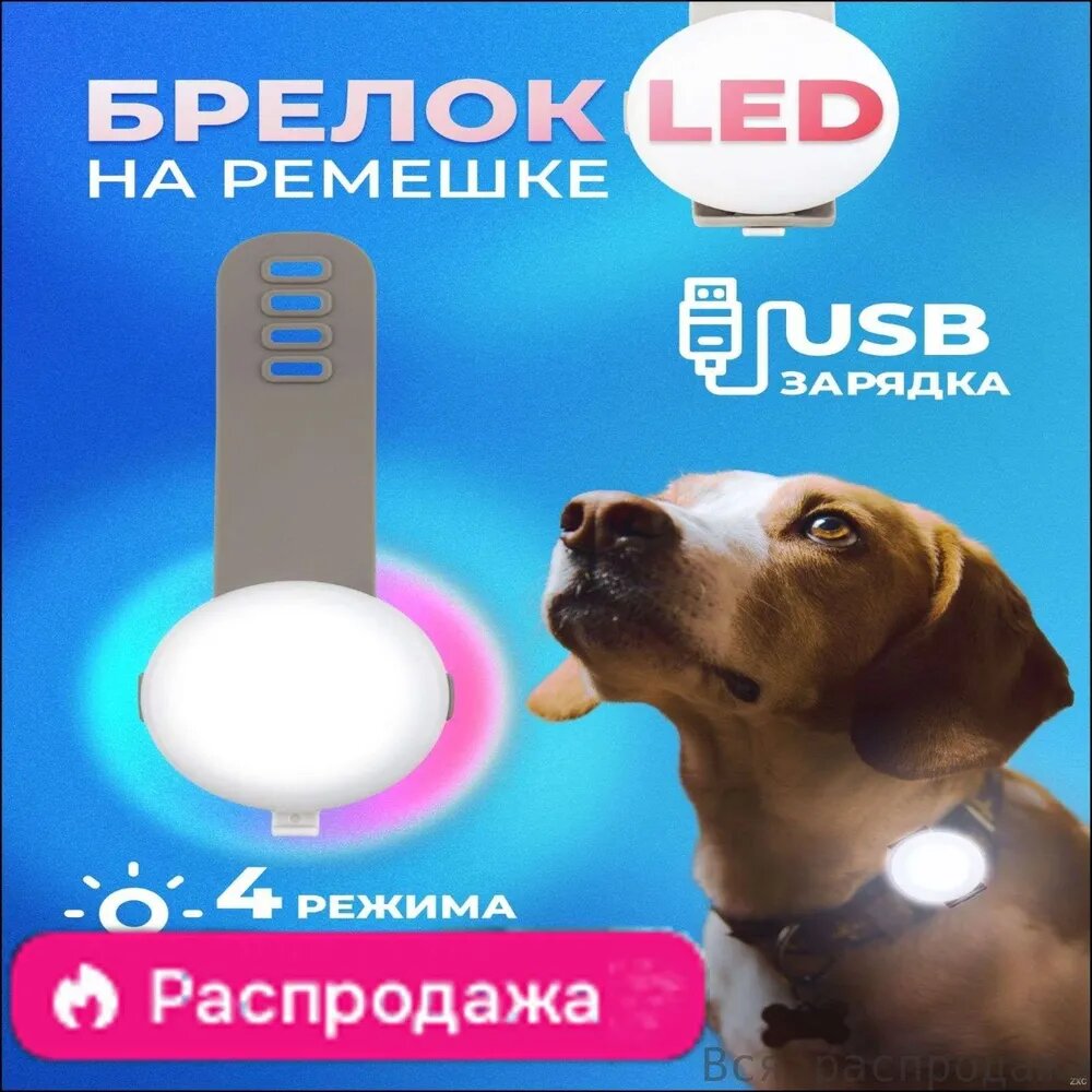 Светящийся брелок на ошейник для собак Pet-it блинкер светодиодный на ремешке 6 см, LED фонарик диаметр 3,5 см micro USB серый