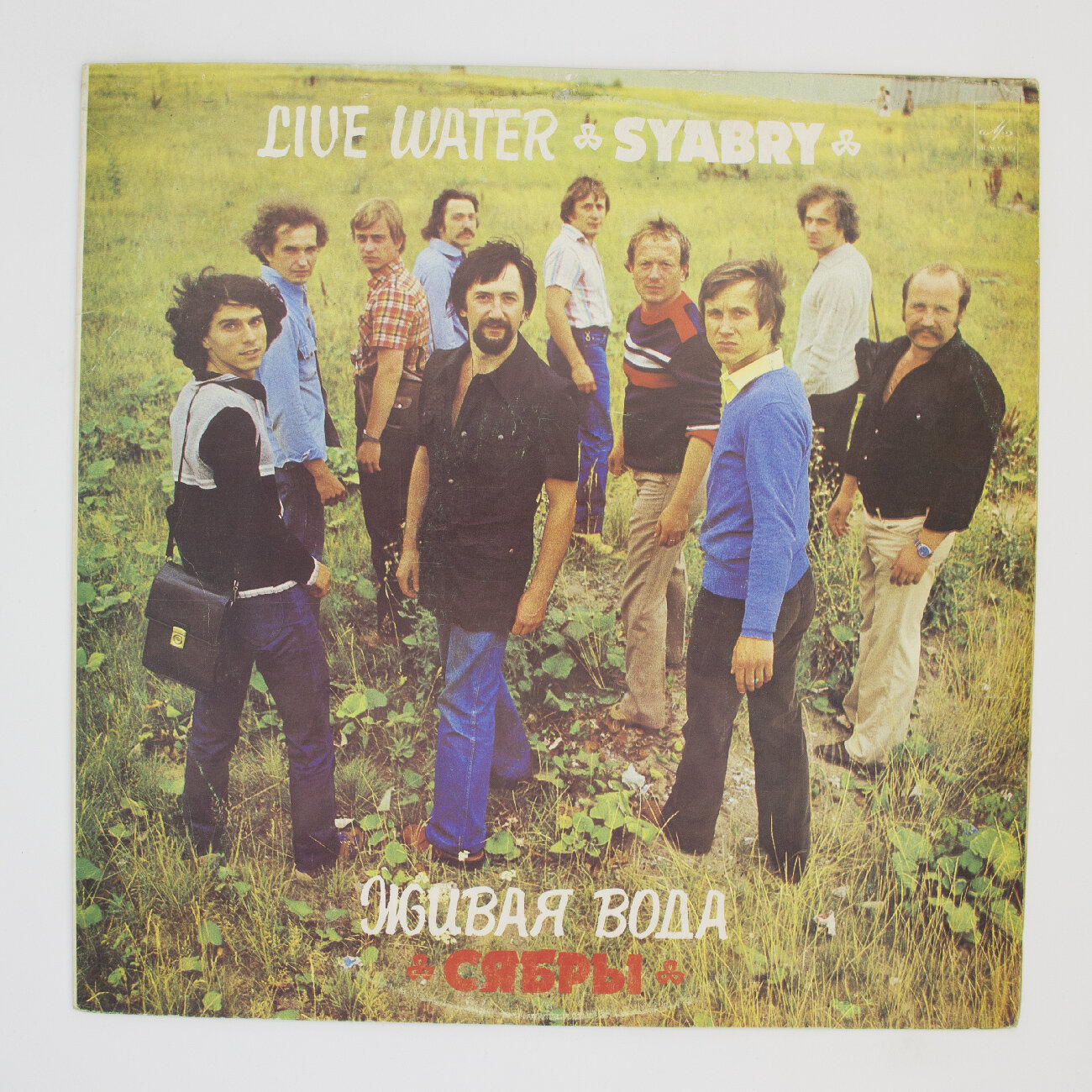 Виниловая пластинка Сябры - Живая Вода, 1xLP, EX