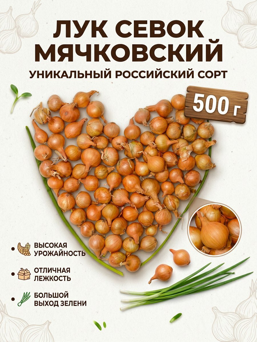 Лук севок Мячковский 500 грамм, раннеспелый сорт, полуострый, урожайный, для салатов и хранения
