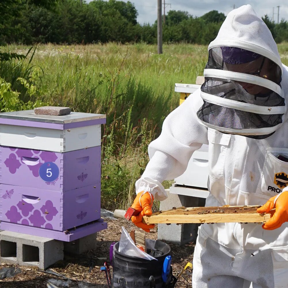 Пластиковые Маркеры Номеров Ульев 20 Штук Размер 3.70X3.70X0.10Cm