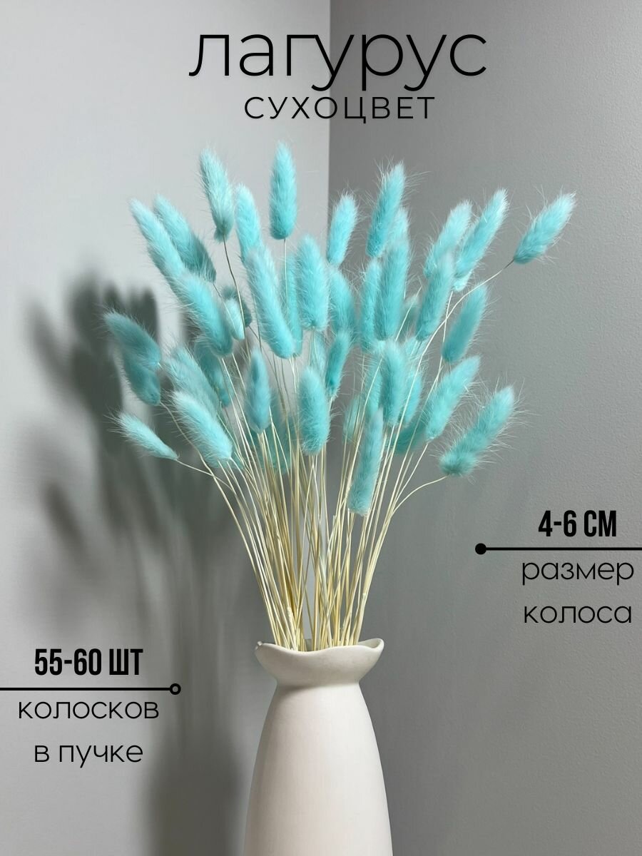 EVA florist Сухоцветы, 60 шт