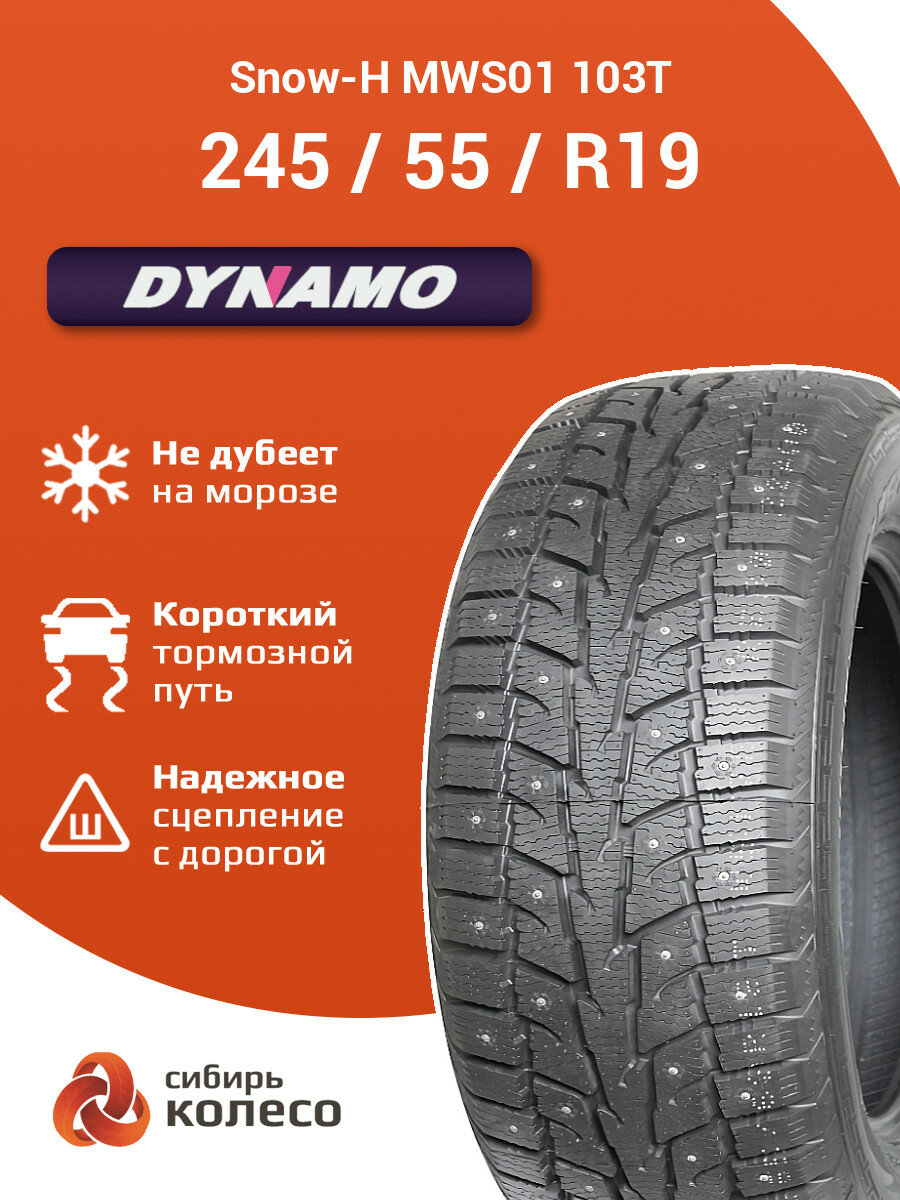 245/55R19 Sailun(Dynamo) Snow-H MWS01 103T шип
