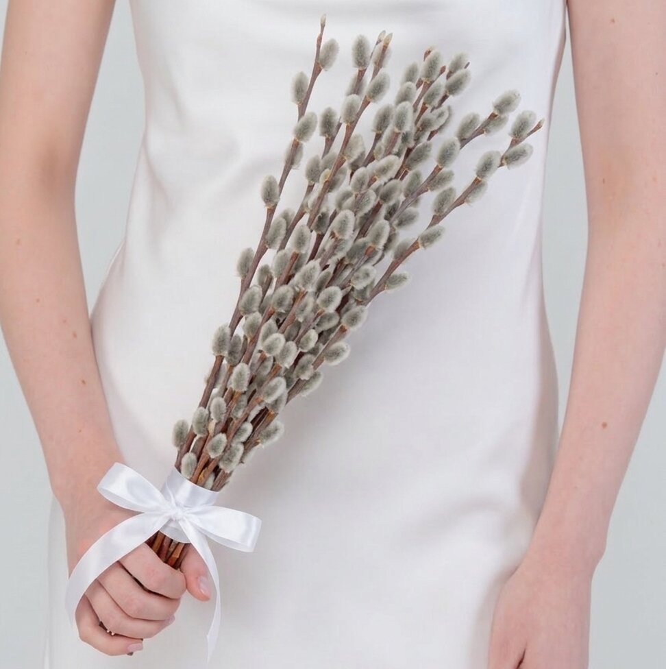 Букет из живых цветов "1 Пучок Вербы" (9 веток)