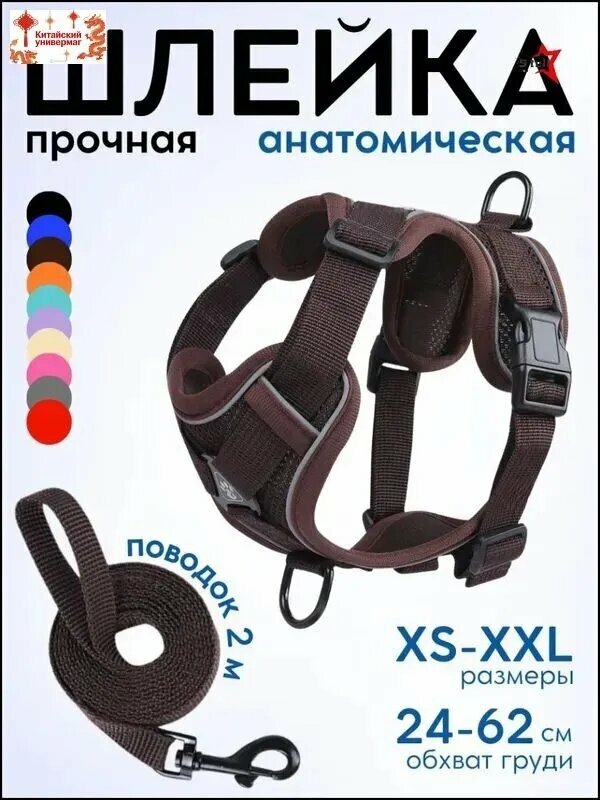 Эксклюзивная амуниция для выгула
