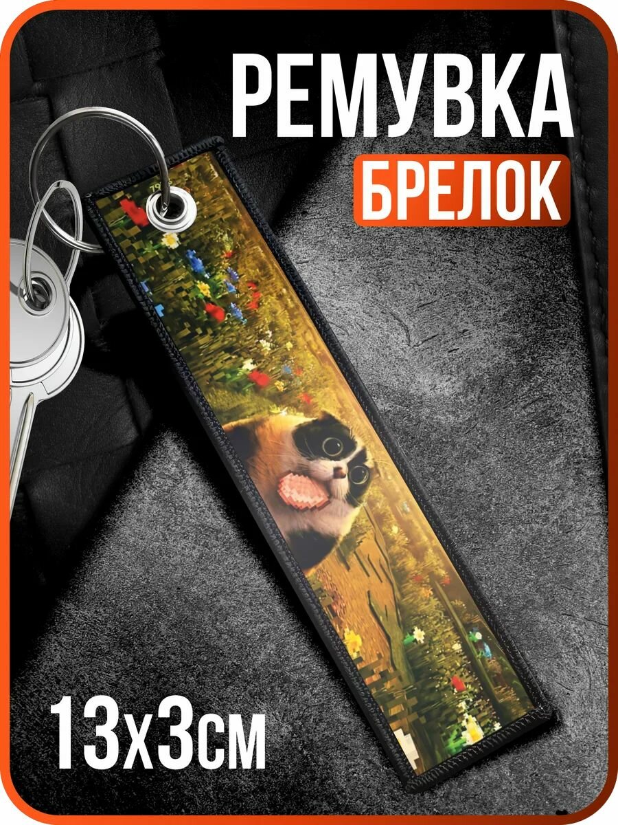 Брелок ремувка Котость мем