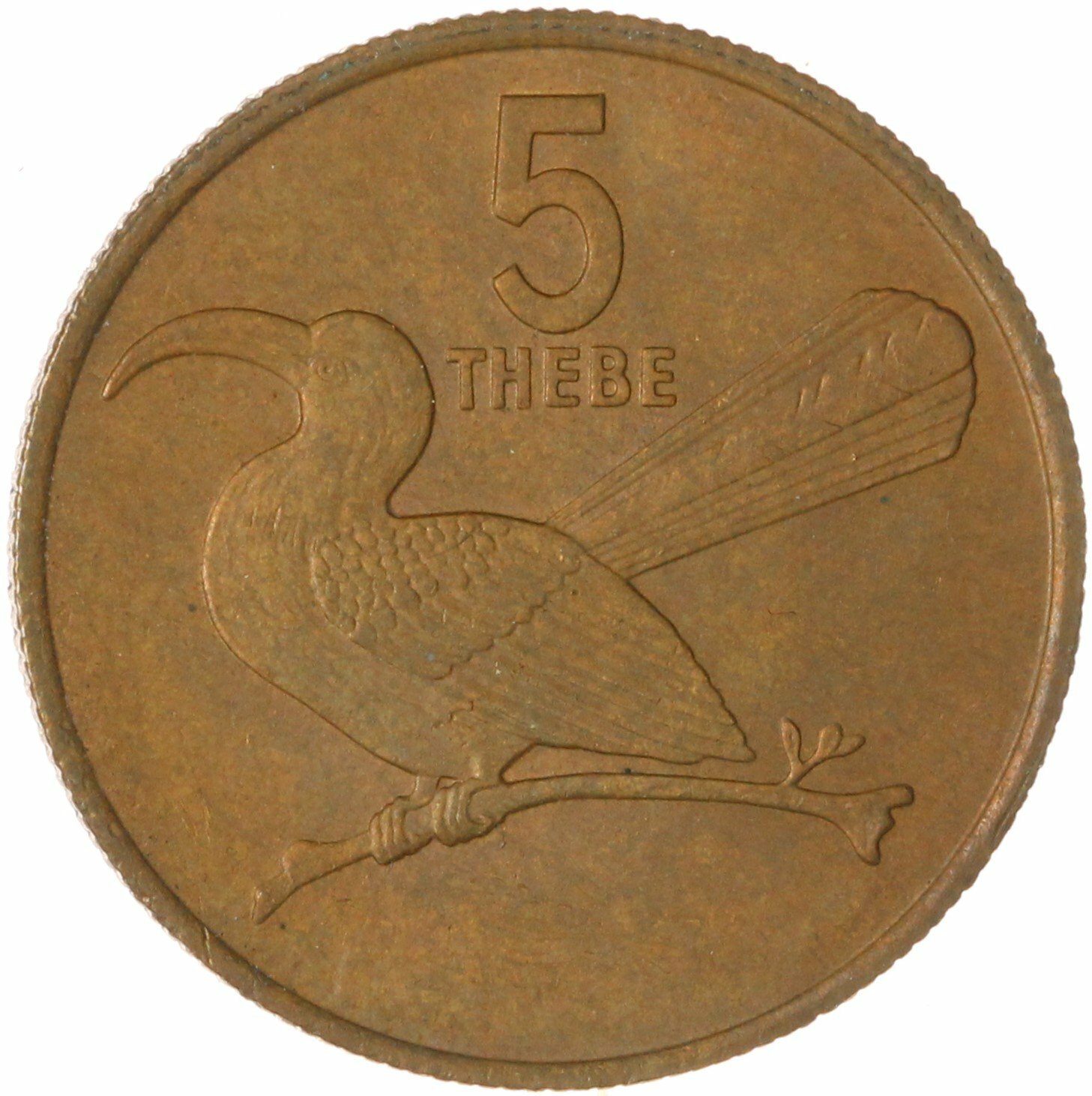 Ботсвана 5 тхебе thebe 1977, Бронза, в сохранности XF