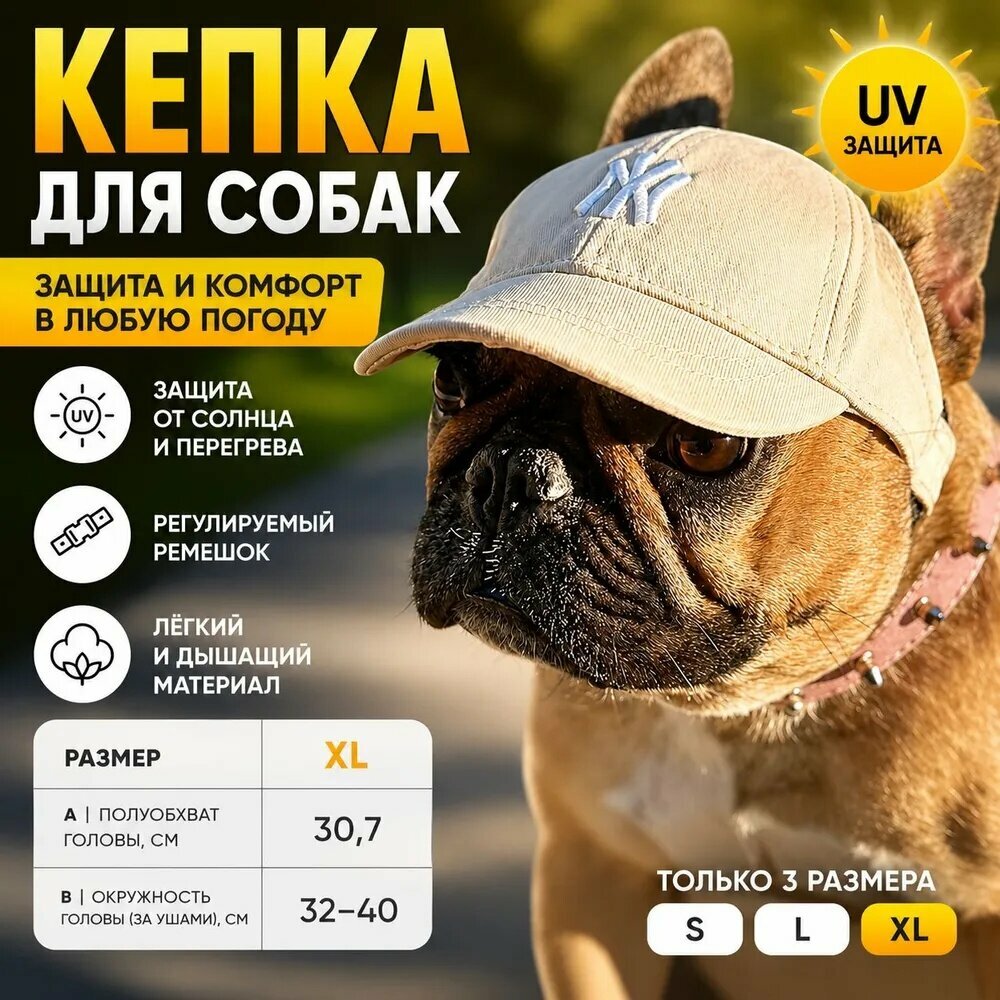 Одежда для животных