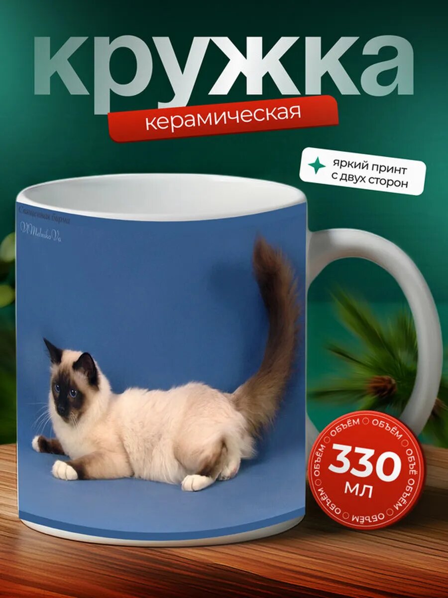 Кружка Бамбино кот 55,
