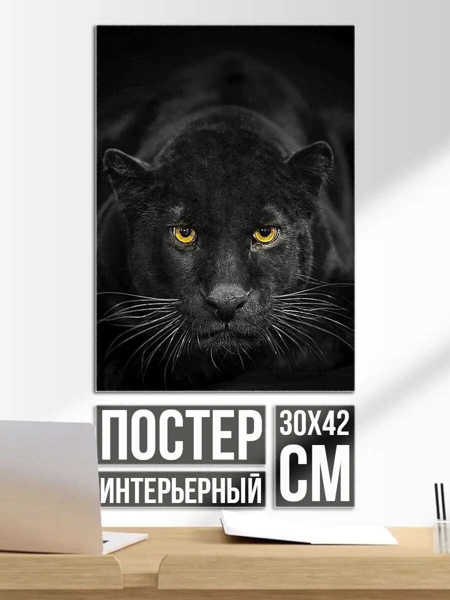 Плакат постер Черная пантера желтые глаза