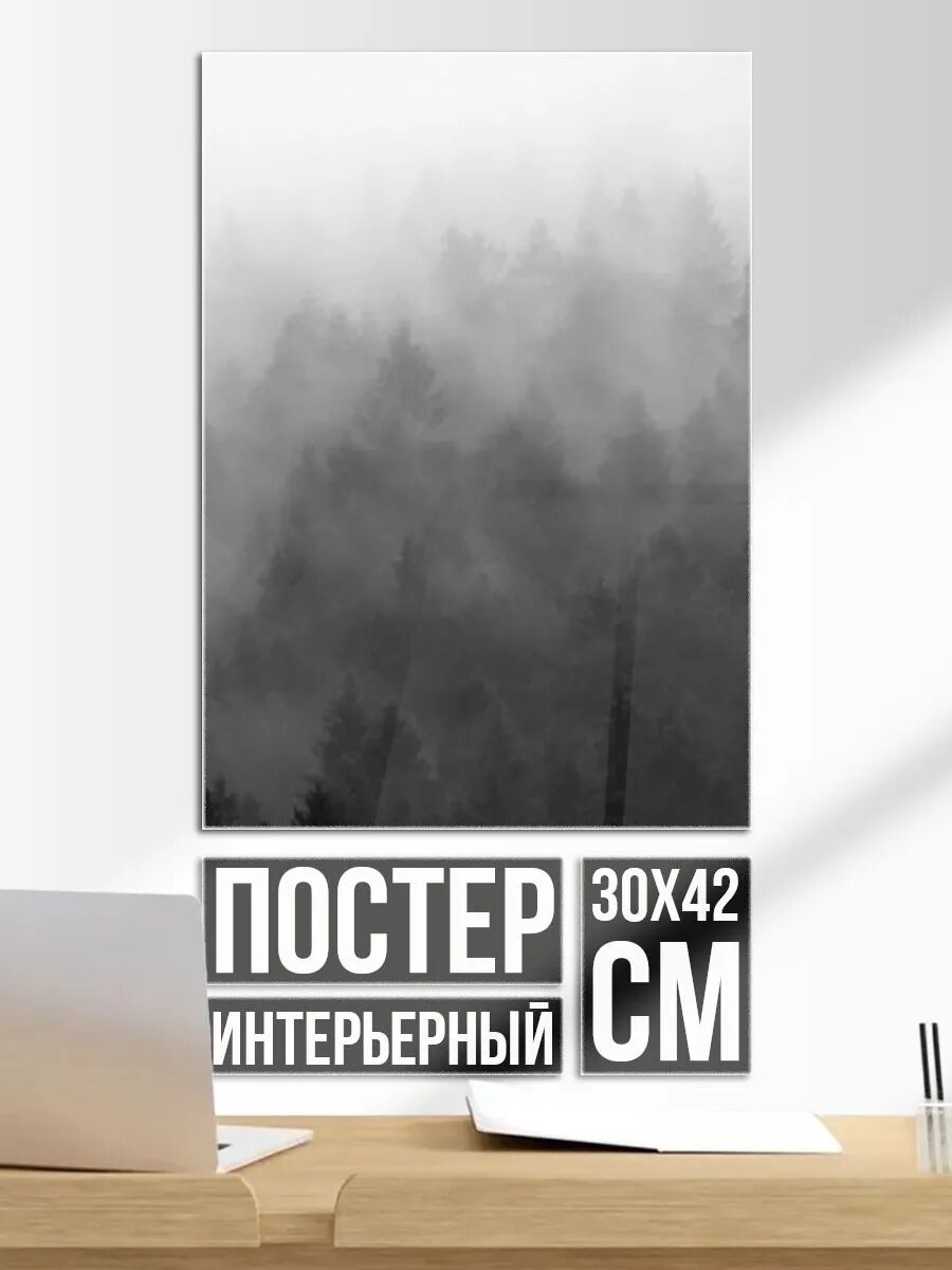 Постер на стену Темный лес - туман
