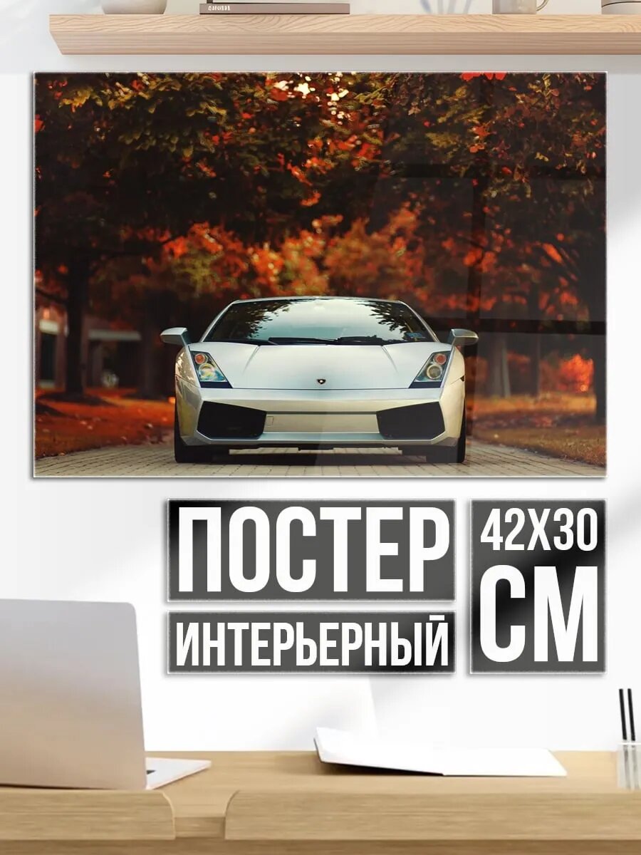 Плакат постер Белый спорткар осенью