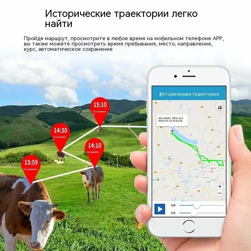Шнурок для адресника — фото 1