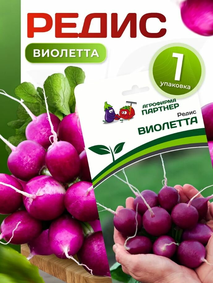 Семена редиса Виолетта