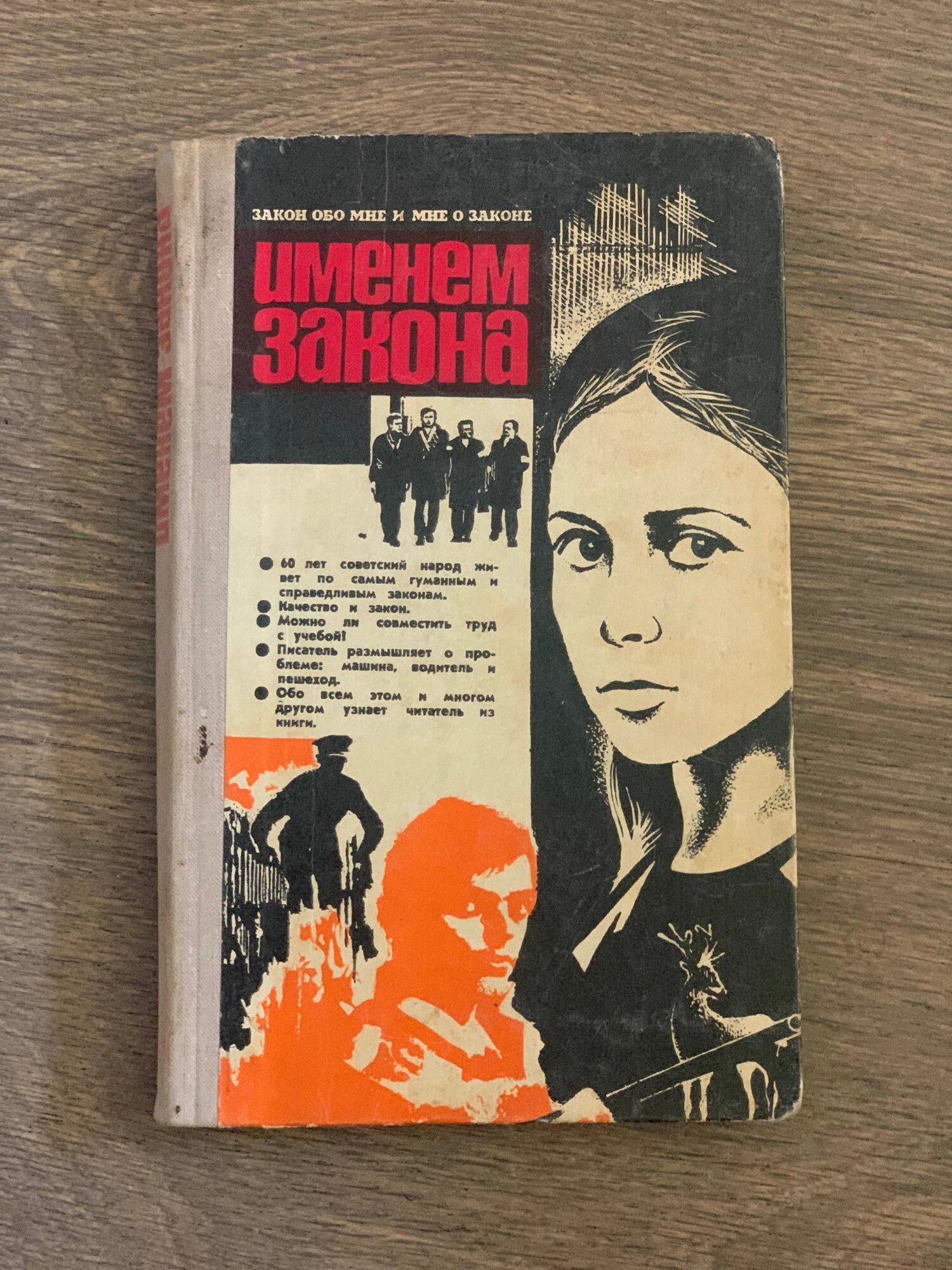 Именем закона, книга детектив